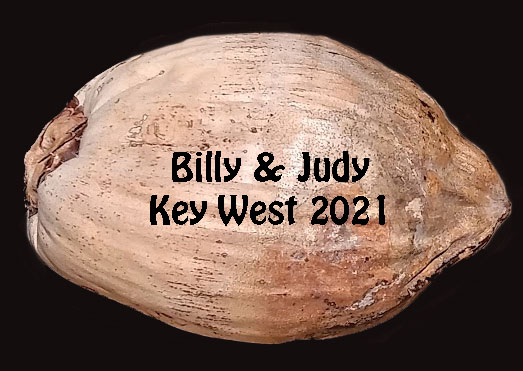 Painted Coconuts – Key West Web Store